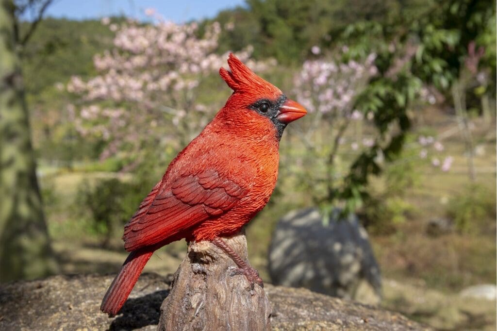 6.7" Cardinal Motion Activated Singing Figurine | Arbutus Crafts